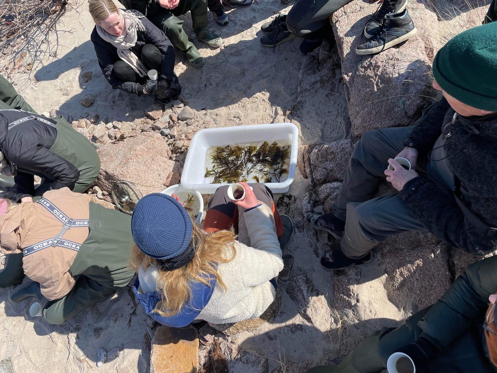 Tang-sanketur - Lejrskole på Bornholm