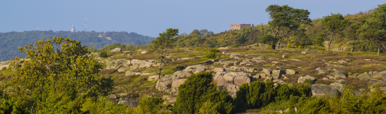 Slotslyngen - Destination Bornholm
